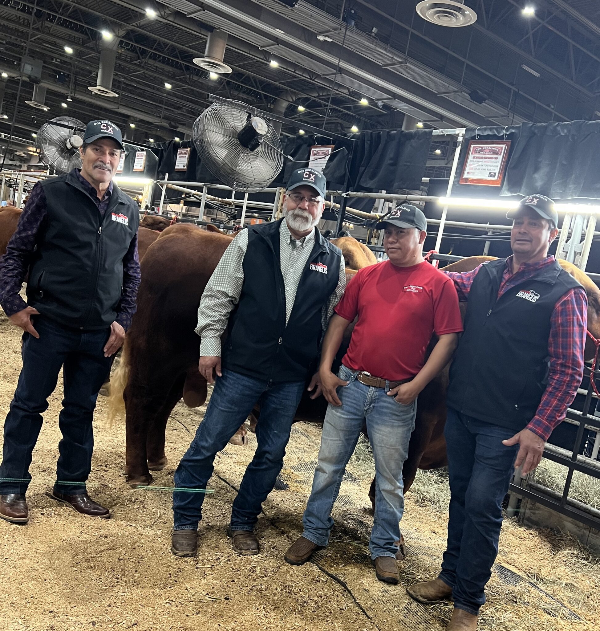 Red Brangus | Cox Excalibur | Brangus World | Brangus Genetics